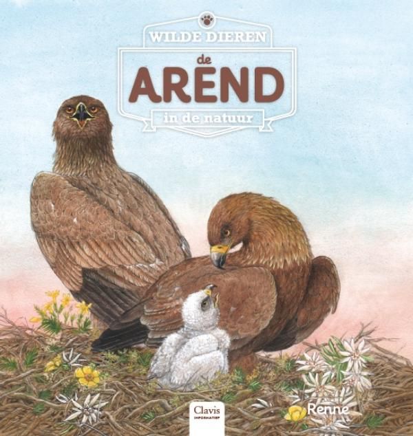 De arend | Clavis